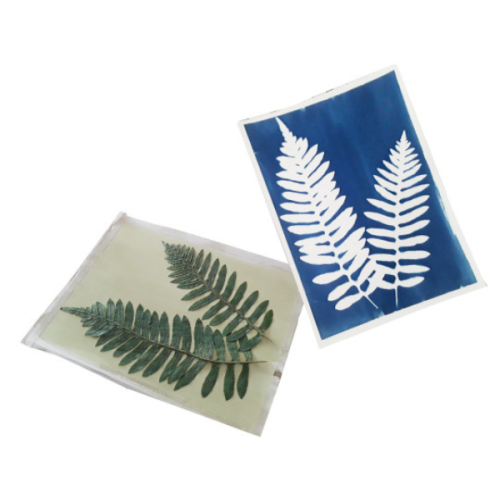 Kit Cyanotype - 10 feuilles + plaque transparente - Enjoy Art - Creastore